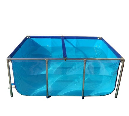 Customizable 1000 Gallon Fish Tanks for Hotels & Aquatics