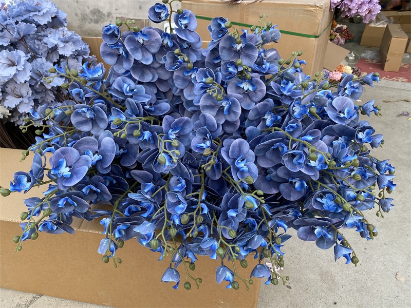 How to Choose Real Orchid Plants: A Complete Buying Guide