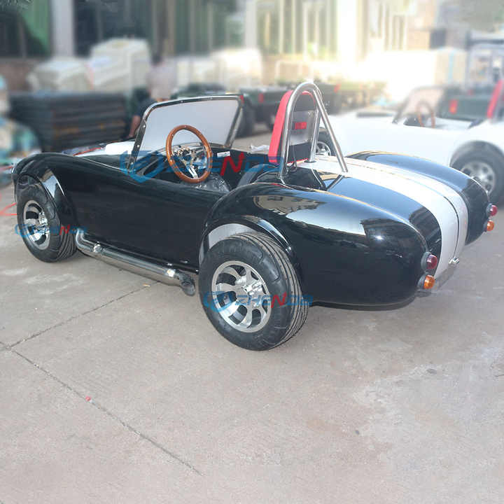 Custom 2200W Motor Pro Cobra Cart Car Electric 50KM/h High Speed Off ...