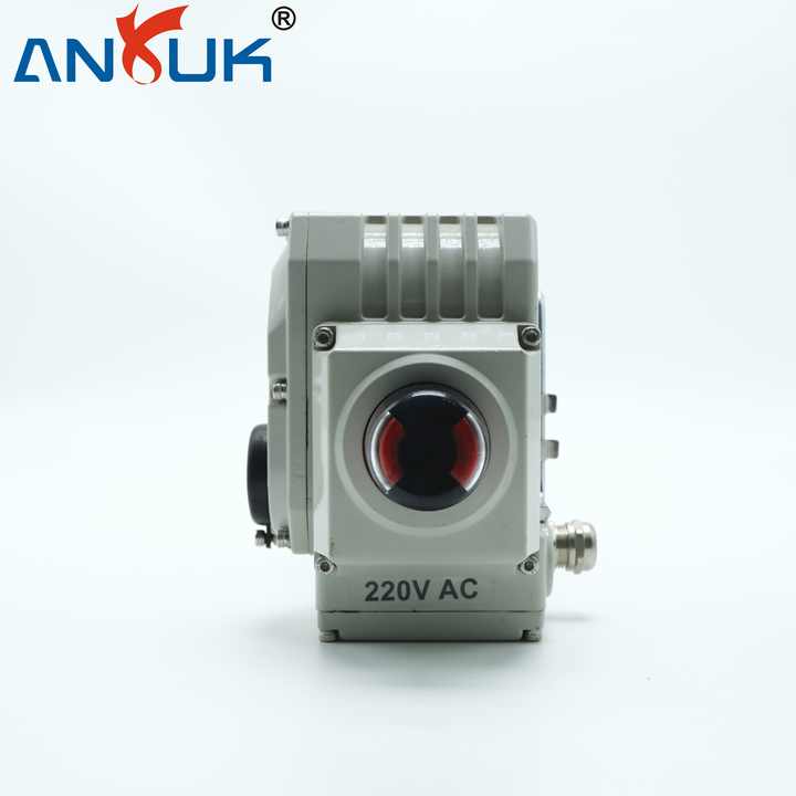 Pneumatic Actuator AT83 DA100 High Torque Rotary Type For Valve ...