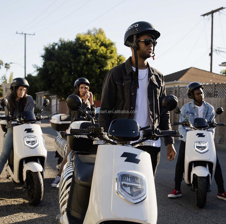 ELyx DAZZ Zebra Electric Scooter 60V30Ah Lithium Battery Pack ...