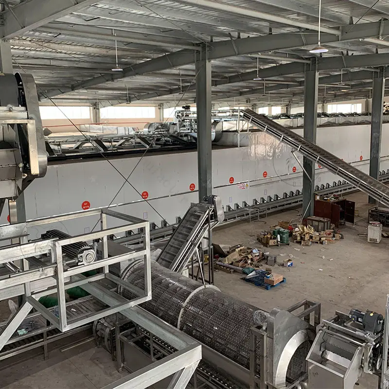 Boost Efficiency with Premium macadamia nut primari process line ...