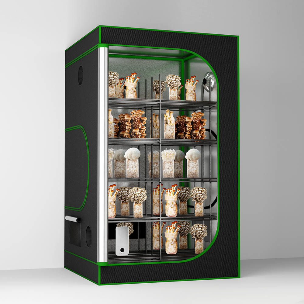 How to Choose a Mushroom Grow Tent with Ventilation, Temp & Humidity ...