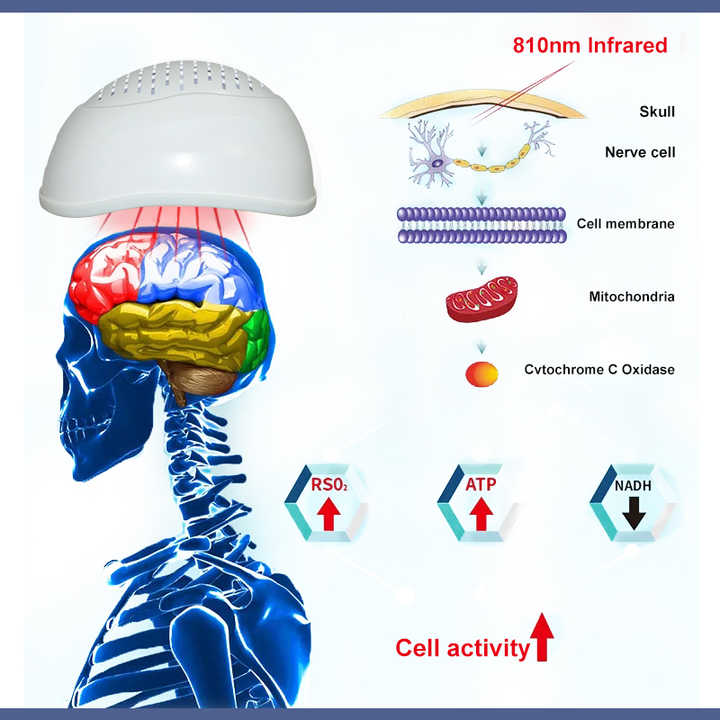 RTMS Brain Neuromodulation Transcranial Magnetic Brain ...