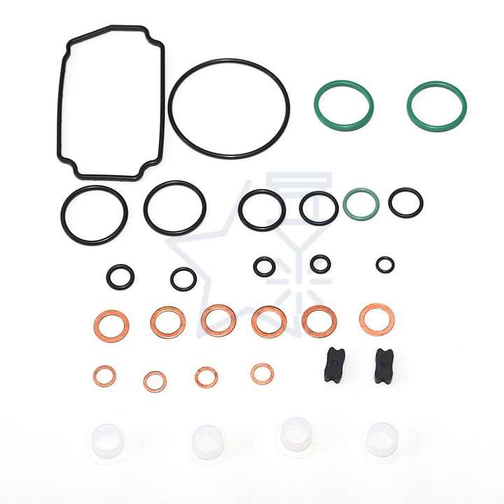 Diesel Fuel Injection Pump Parts Repair Kit 096010-0540 096010-0541 ...