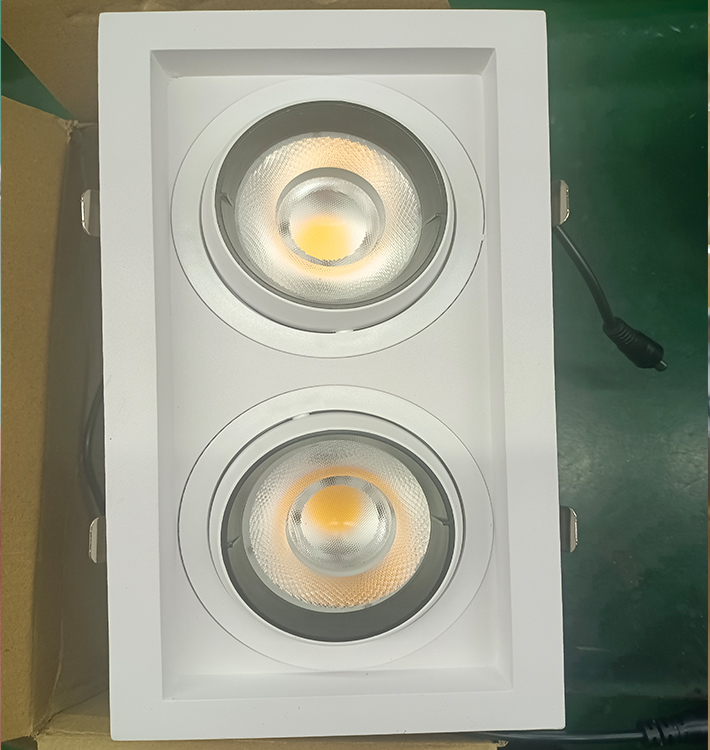 Lighting Solutions - Efficient Double-Headed LED Downlights