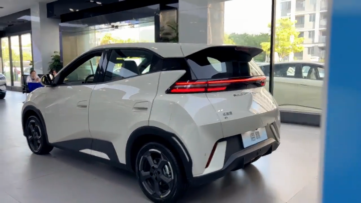 Discover the BYD Seagull Electric Car - Affordable Mini EV for Adults ...