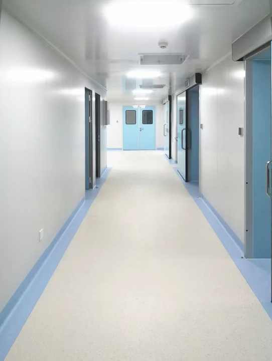 Prefabricated Clean Room Wall GMP Modular Dust Free Workshop