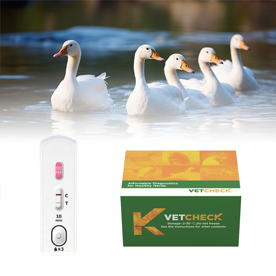 Poultry Veterinary Desease Rapid test Kit for Poultry Disease ...