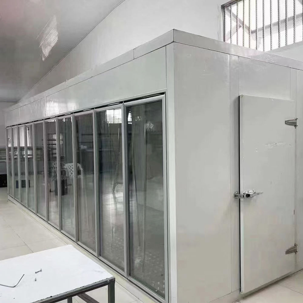 How to Choose a Glass Door Freezer Commercial: Buying Guide