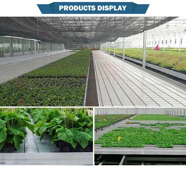 Eco-friendly Hydroponic Grow Tables - Vertical Rolling Benches