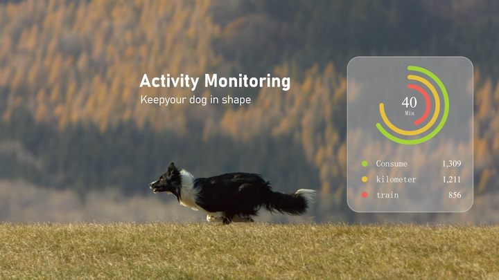 Pet Smart Tracker 4G - Real-Time GPS for Dogs