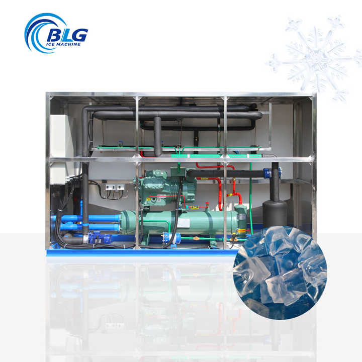 BLG 10 Ton Ice Maker - High Efficiency & Reliable Ice Production