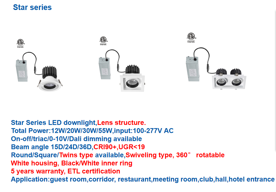 Lighting Solutions - Efficient Double-Headed LED Downlights
