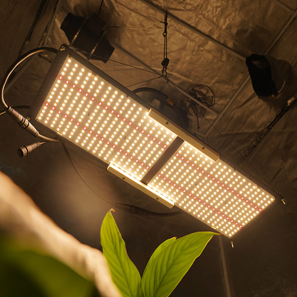 Meijiu Grow Lights - Full Spectrum Samsung LED 650W