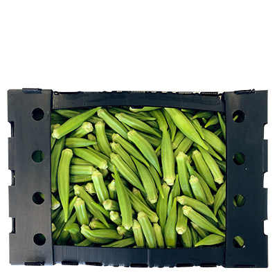 PP Fresh Okra Bean Box Packing Corrugated Plastic Fruit Storage ...