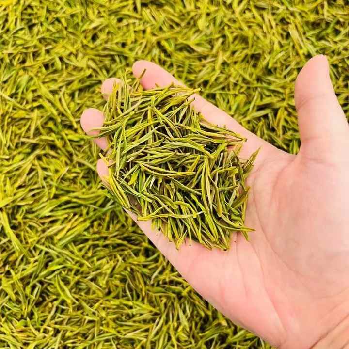 Superior Organic Huangjinya Yellow Tea Premium Green Tea Yellow Buds ...