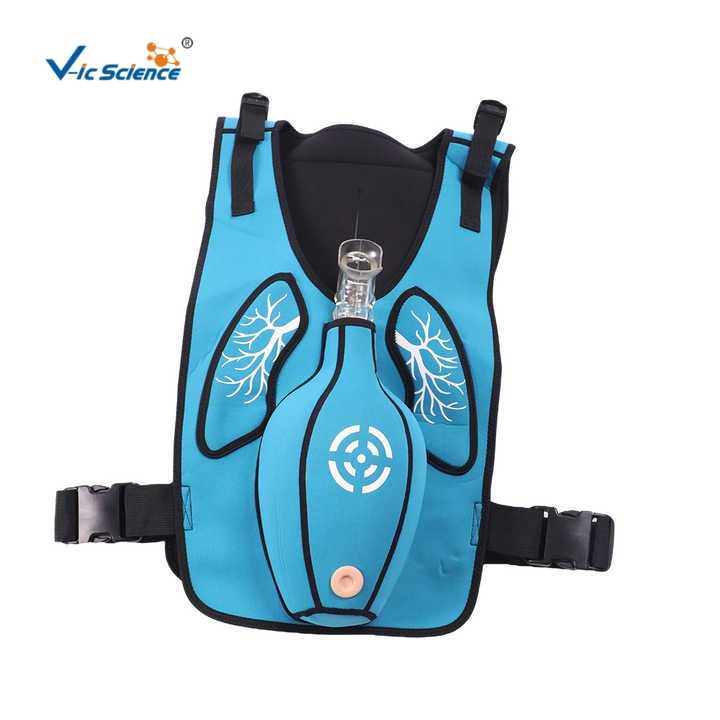 Heimlich First Aid Training Vest Plastic Manikin for Trachea Infarction ...