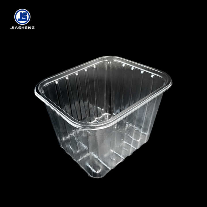 Disposable Eco-Friendly Fruit Vegetable Tray 1200ml Transparent Plastic ...