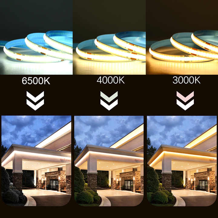 COXO COB LED Strip Manufacturer - Flexible Lighting Solutions