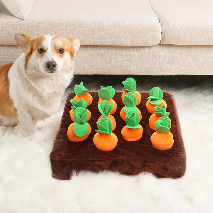 Plush Dog Toy - Hide and Seek Toy Carrot with BB Squeaker