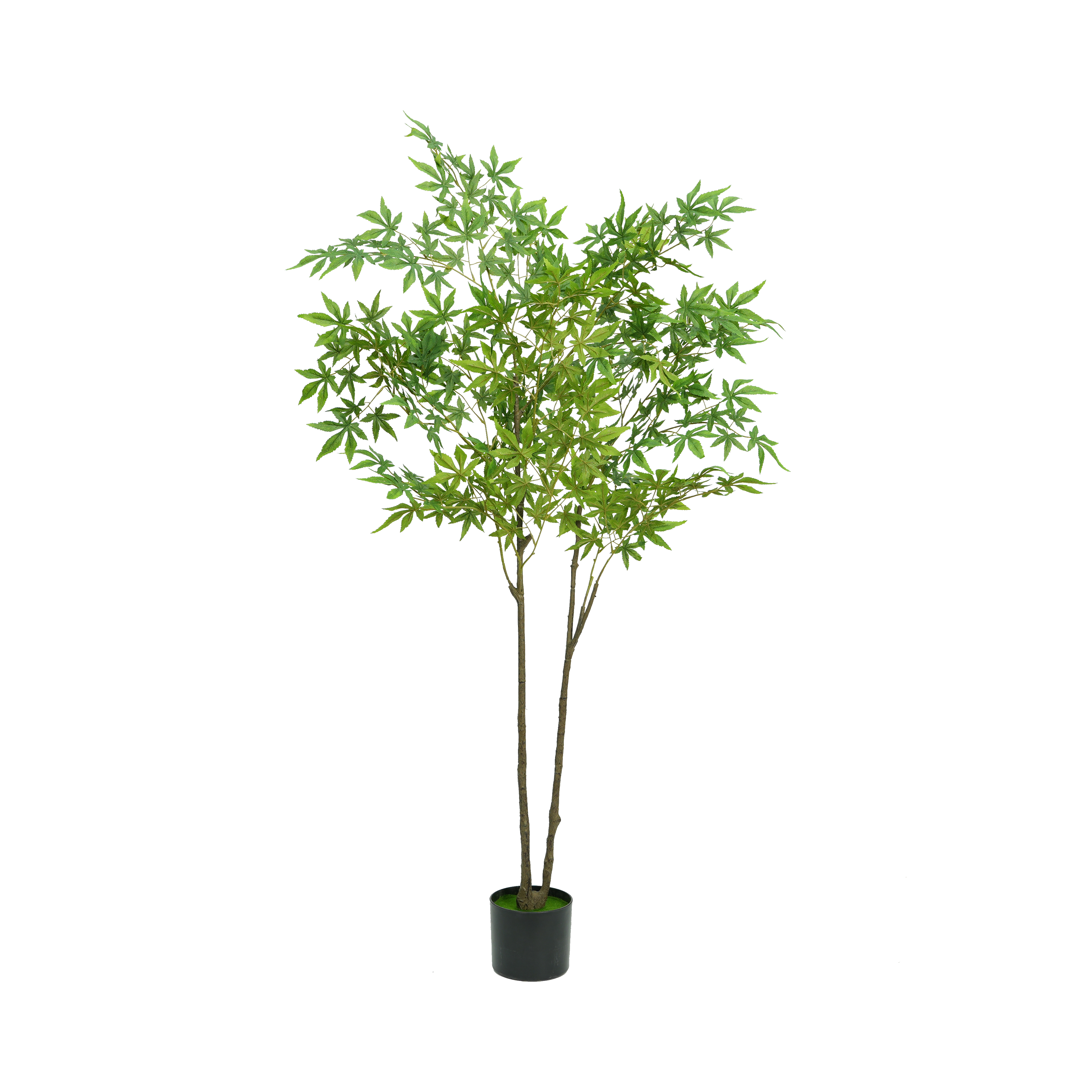 How to Choose the Best Red Onion Bulb Planter for Your Garden