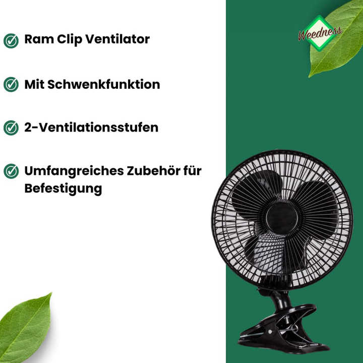 6-Inch Portable Mini Table Fan With 2-Speed Rotary Control Switch ...