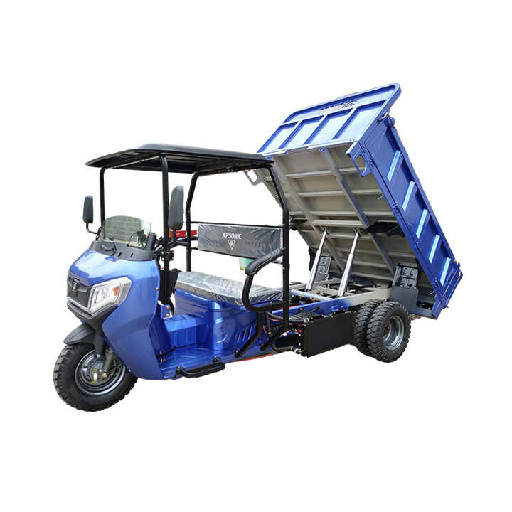 High Performance 200cc Motorized Tricycle Philippines With Great Price ...