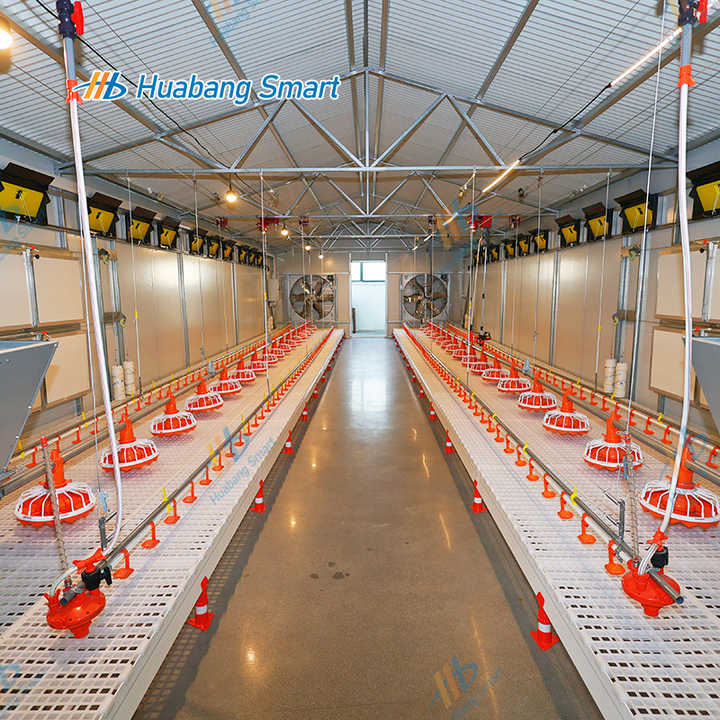 CE Approved Automatic Broiler Chicken Feeders & Drinkers