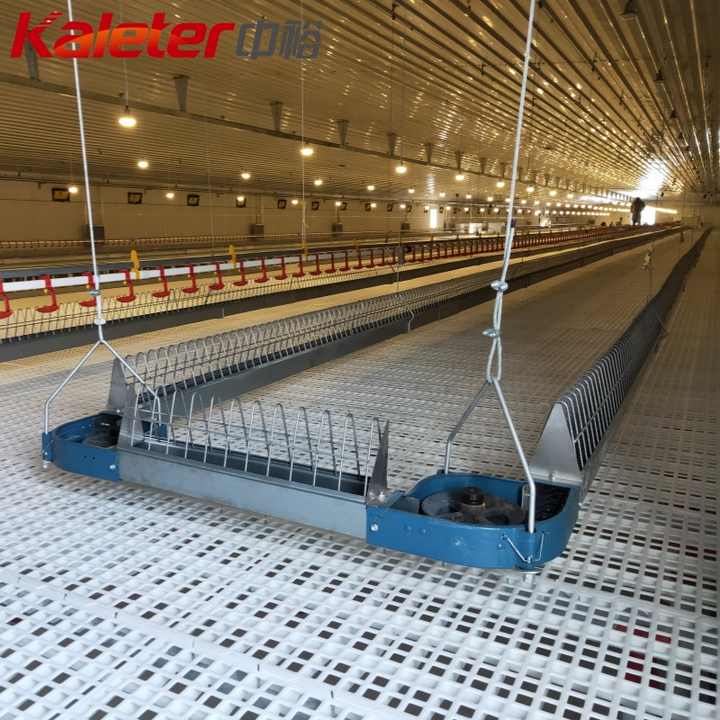 Poultry Automatic Chain Feeding Line Breeder Chicken Feeder System ...