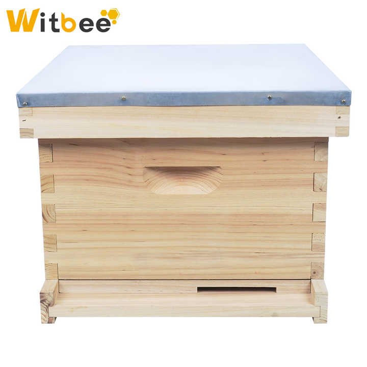 Wooden Bee Hives Beekeeping Equipment Wood 10 Frames/8 Frame Langstroth ...