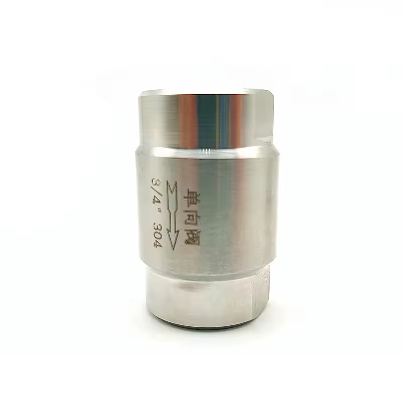 304 Stainless Steel High Pressure One Way Check Valve 1/8" 1/4" 3/8" 1/ ...