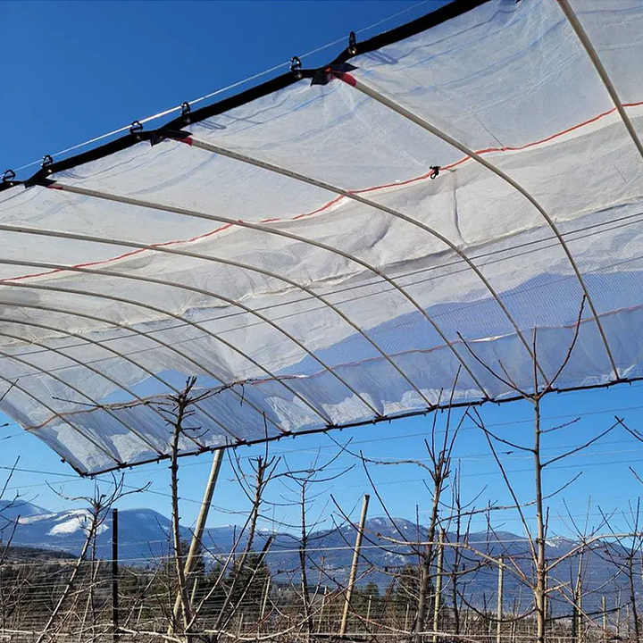 Customized 120gsm 150gsm Farm Orchard Rain Cover with Reinforced Bond ...