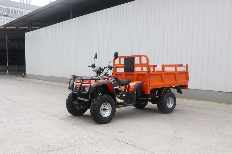 Electric 4x4 Farm Big Quad Bike 250cc 300cc off-Road Motorcycle