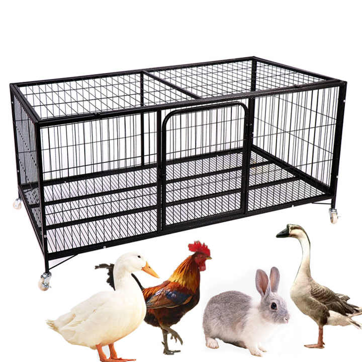 Durable Rabbit Cages - Farm Home Use Black Square Tubes