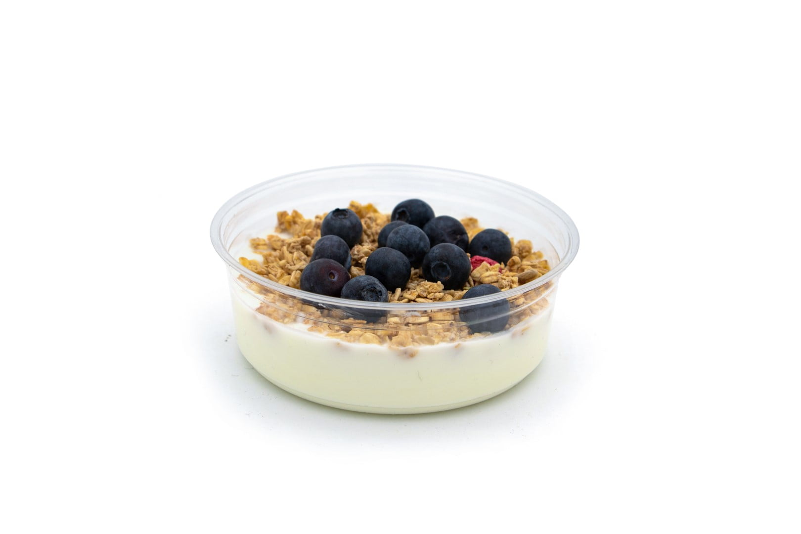 32oz Plastic Disposable Food Storage Containers - Airtight