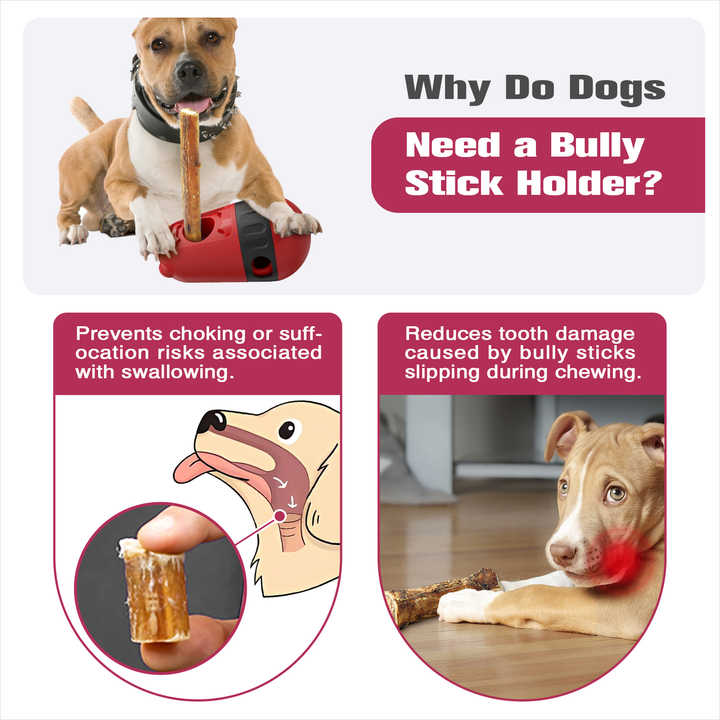 Multifunction Bully Stick Holder Securely Holds Bully Sticks ...