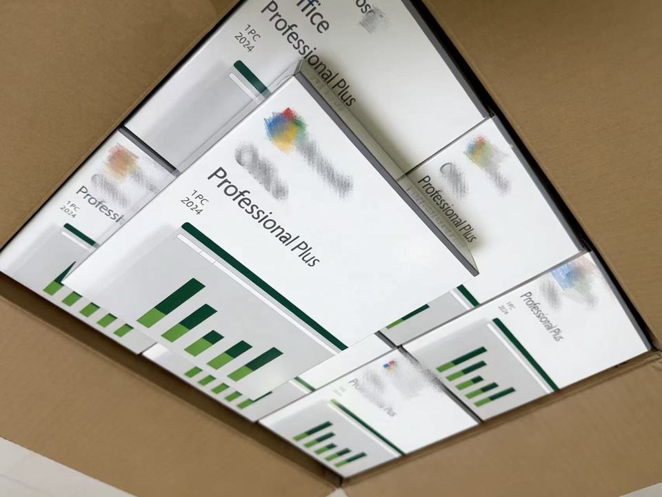 Office 2024 Professional Plus LTSC USB Retail Box with Global Online ...