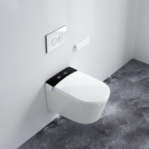 Catálogo de fabricantes de Electric Wc Toilet de alta calidad y ...