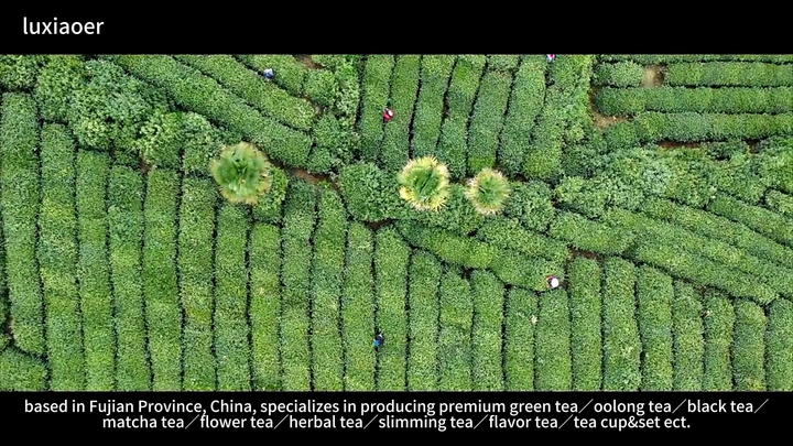 Japanese Genmaicha Tea Sencha Brown Rice Green Tea In Loose Wholesale ...