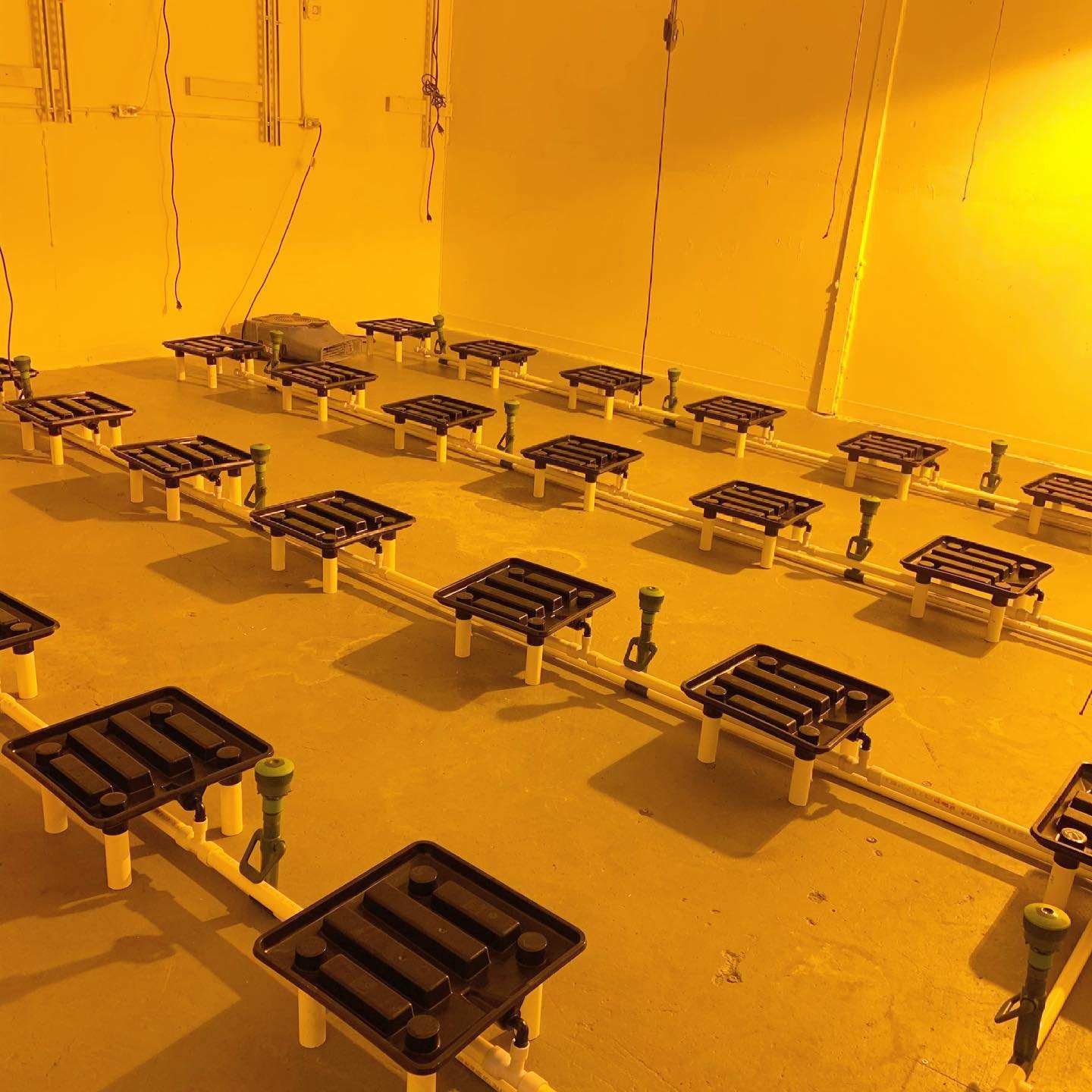 How to Choose the Best Flood and Drain Hydroponics System: A Complete ...