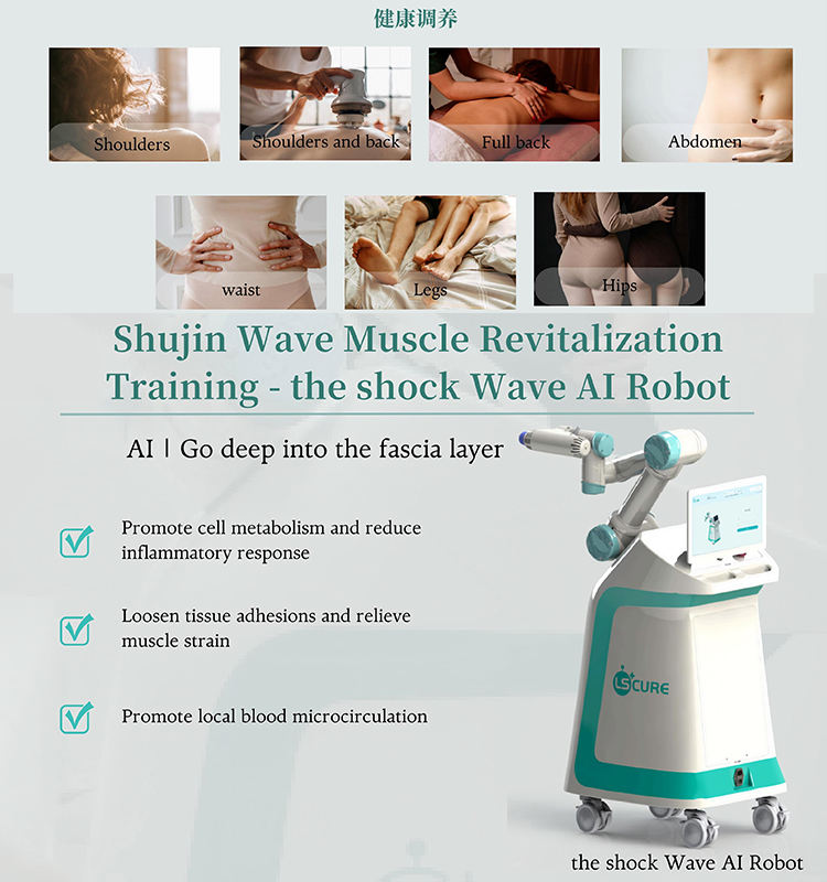 TCM Meridian Massage Collaborative Robot with Motor and PLC Aluminum ...