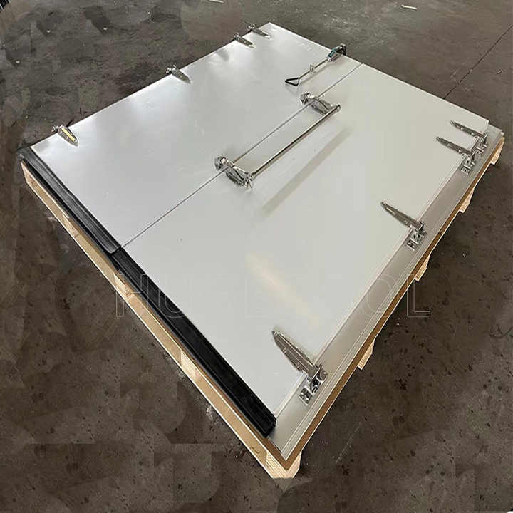 Customized Dimension Hinges Hinged Door for Cold Storage