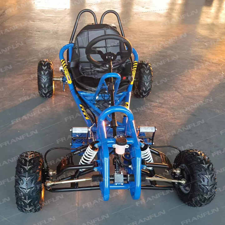 Air-Cooled Gasoline Mini Drift Kart for Adults & Teens