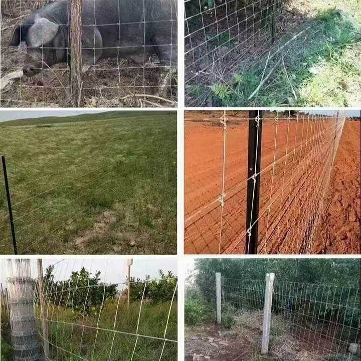 Cattle Fencing, Sheep Wire Fencing| Alibaba.com
