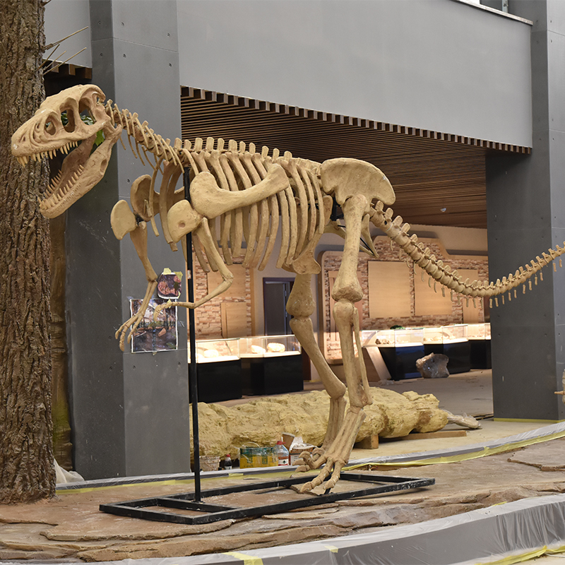 Artificial Dinosaur Fossil Replicas - Dinosky Creations