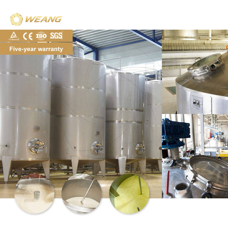 200L Overhead Agitator Stirrer Machine Paddle Ozone Mixing Tank ...