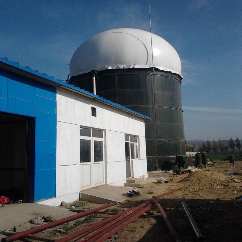 1000m³ CSTR Reactor for Pig Farm Biogas Plant - Automatic & Efficient