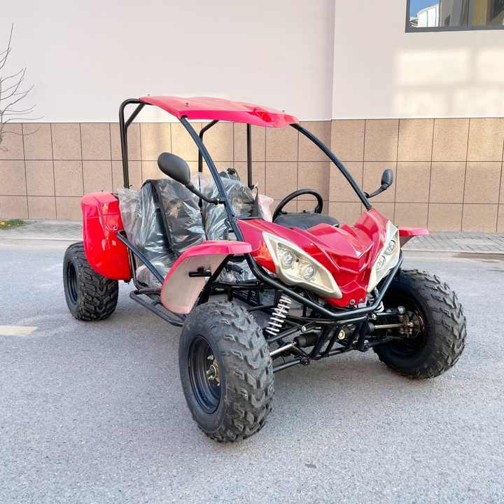 LNA Wicked Fast 200cc Buggies 4x2 Adult Chain Drive