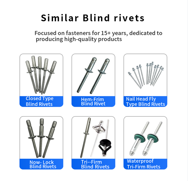 DIN Standard Lock Rivets Multiple Use Structure Rivet Dome Head with Zn ...